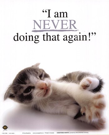 I Am Never... Wholesale Art Print at Lieberman's